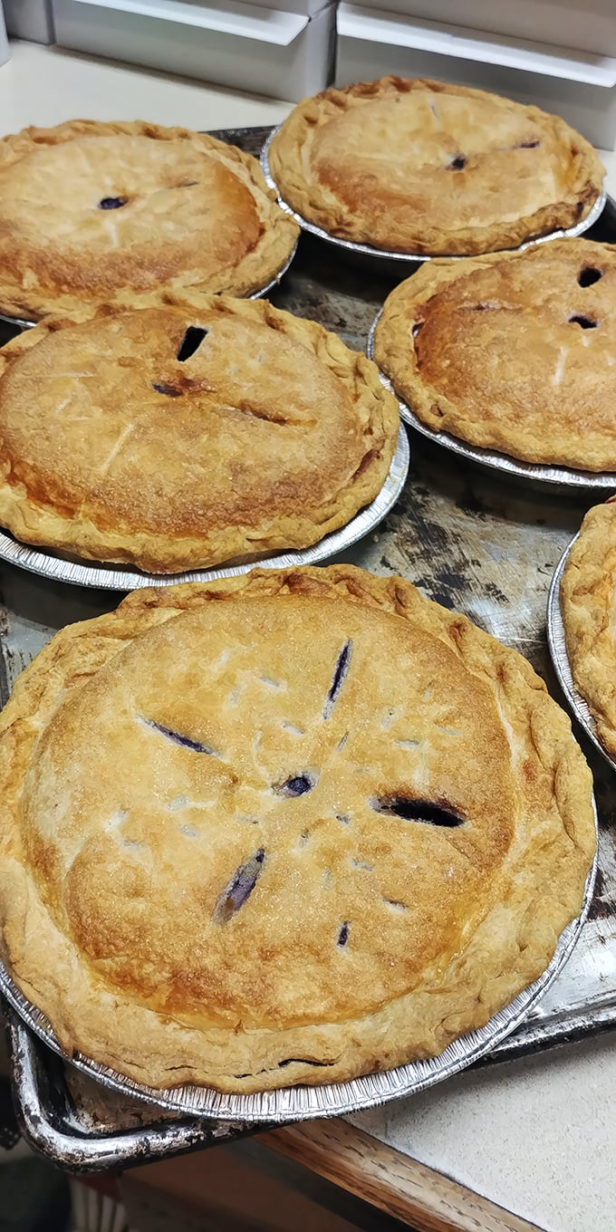 Move over, blueberry muffins! These pies are bursting with berry goodness, like tiny flavor explosions waiting to happen.