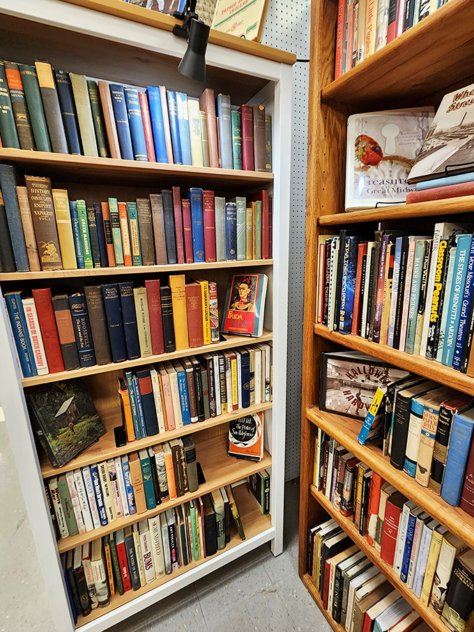 Bookworms, rejoice! This literary corner is a haven for bibliophiles, offering everything from dusty classics to quirky cookbooks that time forgot.