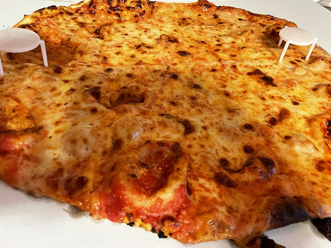 Behold, the golden disc of dreams! This cheese pizza is so perfectly blistered and bubbly, it could make a lactose-intolerant person weep with joy.