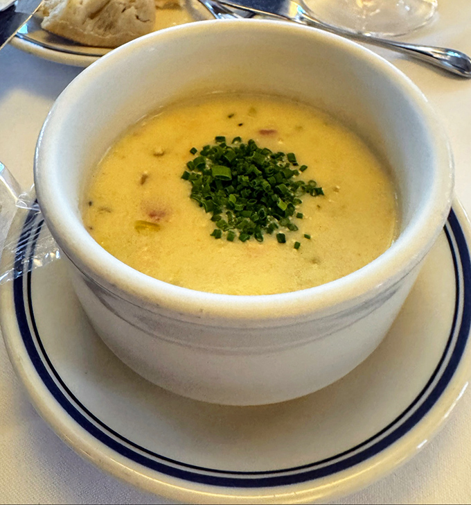 Ahoy, chowder lovers! This golden bowl of comfort is like a warm hug from the sea itself.