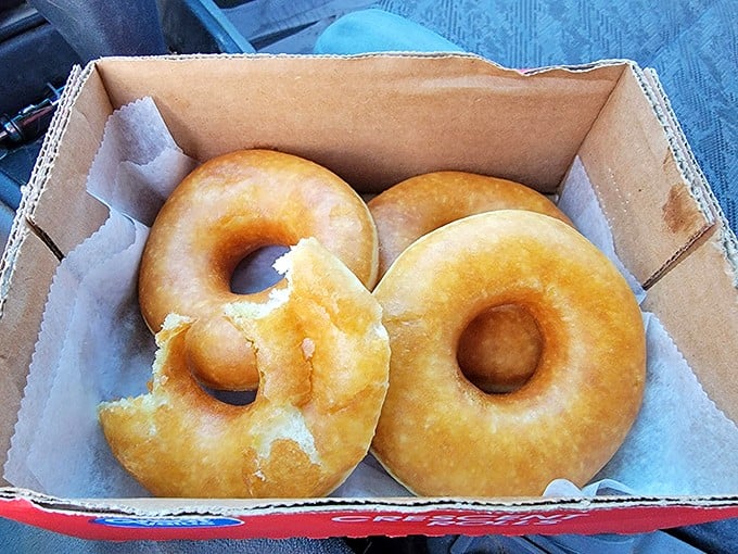 Golden rings of joy! These classic donuts aren't just breakfast, they're edible hugs for your taste buds. Homer Simpson would weep with delight.