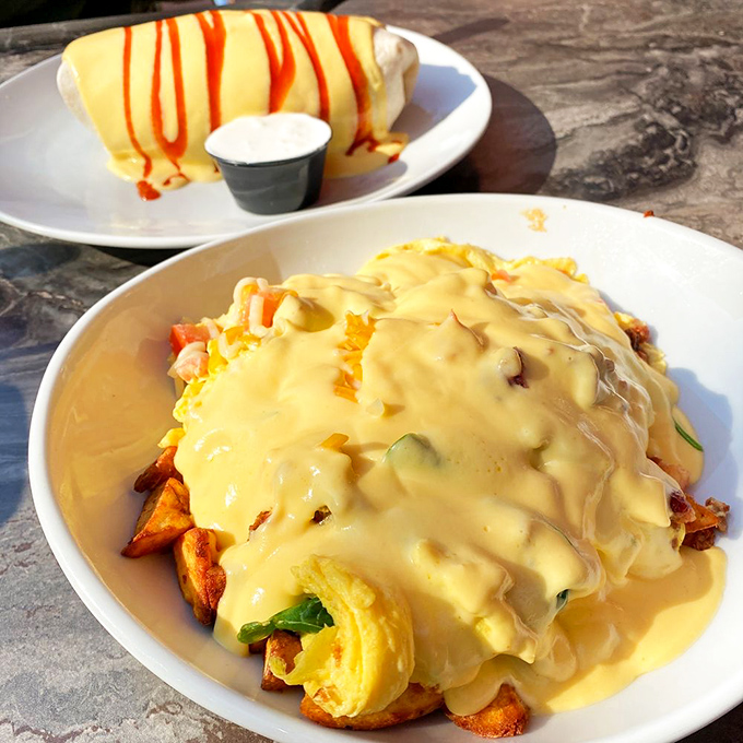 Breakfast of champions or a delicious food coma? Either way, these plates are packing more flavor than a soap opera marathon.