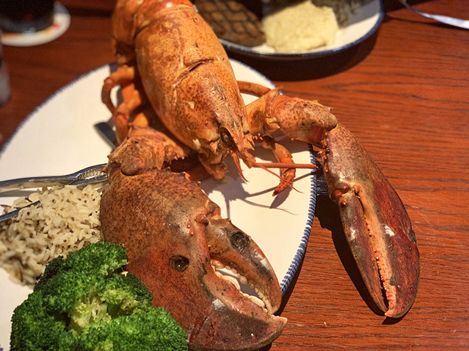 Holy crustacean, Batman! This lobster looks ready to star in its own Godzilla movie. Butter up, folks – it's go time!
