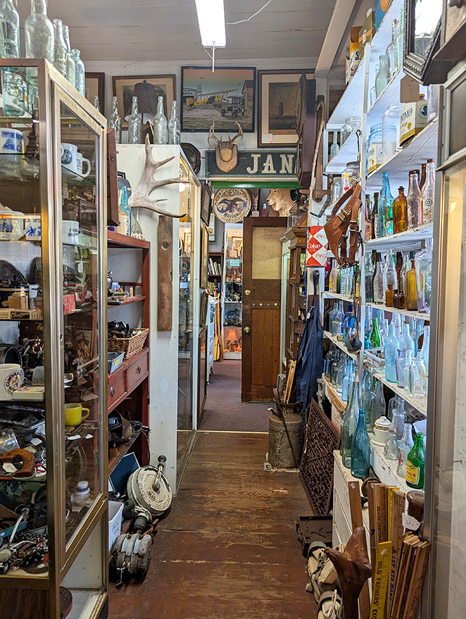 Indiana Jones, eat your heart out! This narrow passageway isn't just cluttered; it's a obstacle course for the adventurous antique enthusiast.