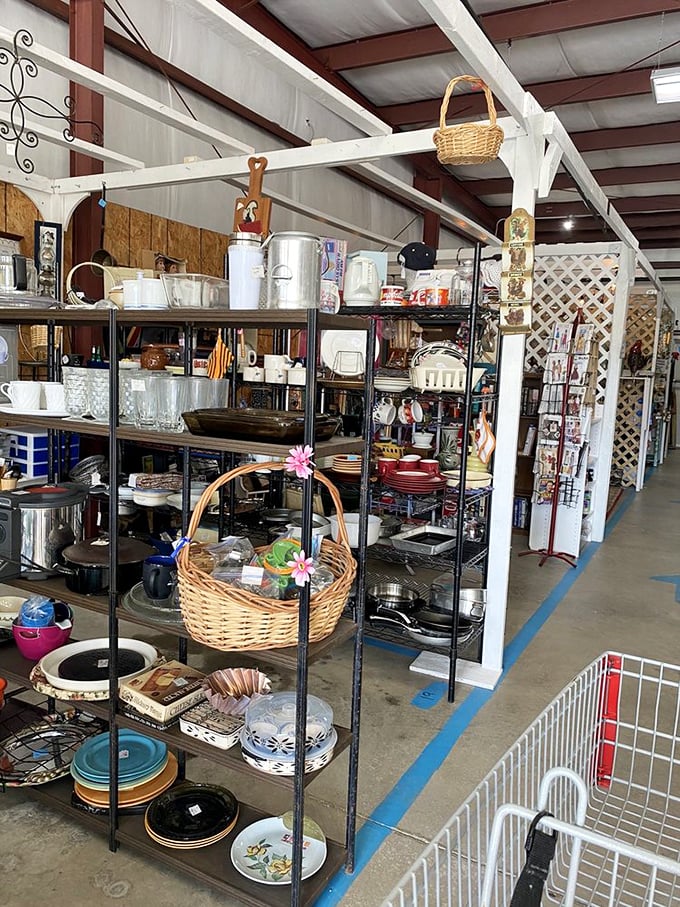 From grandma's cherished china to that fondue set you swore you'd use – kitchen dreams and memories line these shelves.