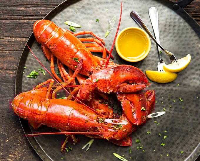 Hello, beautiful! This lobster's so red and ready, it looks like it just came back from a beach vacation in Miami.