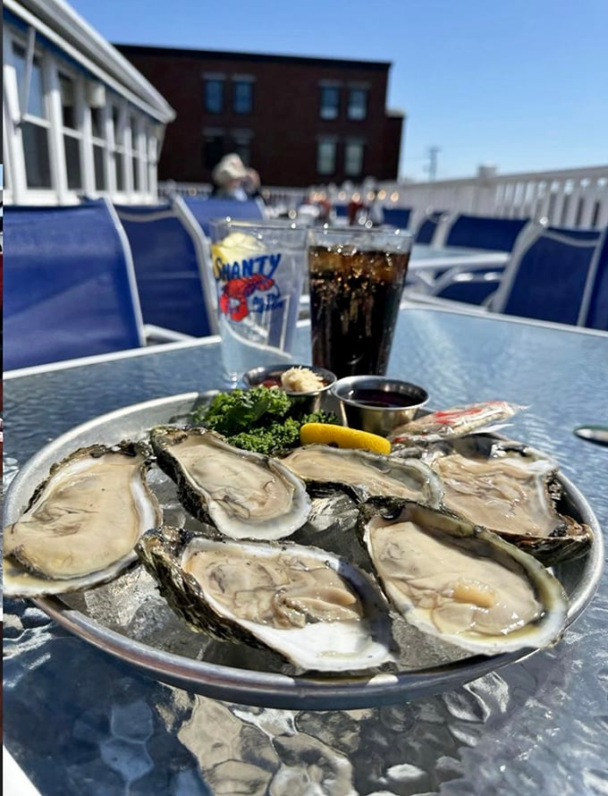 Oysters on the half shell: nature's perfect appetizer. These briny beauties are like a refreshing ocean breeze for your taste buds.