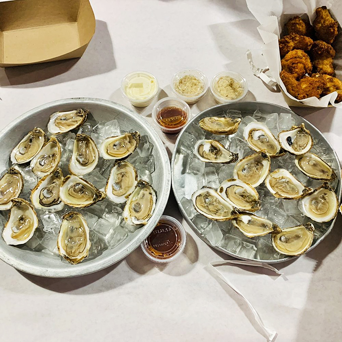 Oysters on ice, looking oh-so-nice! These briny beauties are ready to slide down your throat smoother than a jazz saxophone solo.