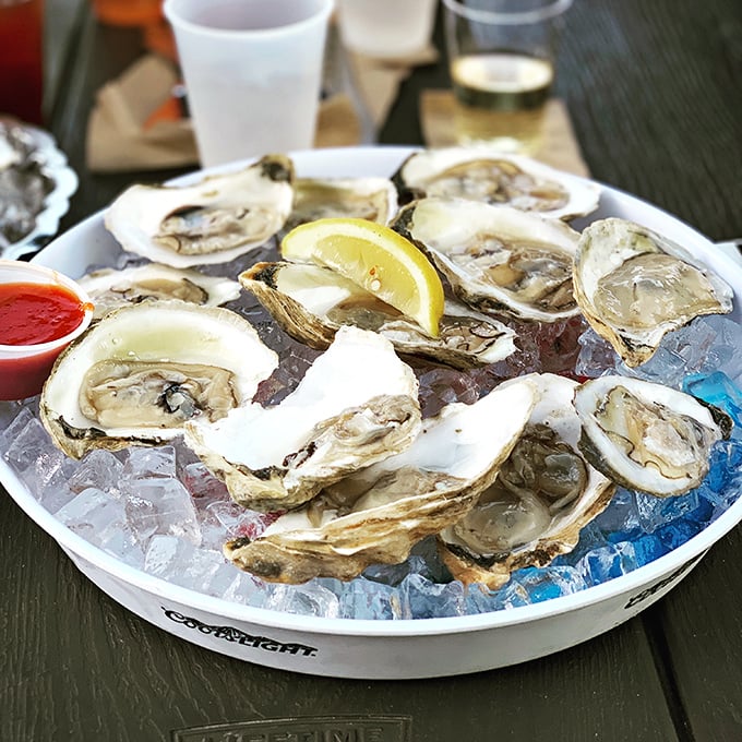 Oysters on ice: nature's perfect appetizer. These briny beauties are like kissing the sea, minus the salty aftertaste.