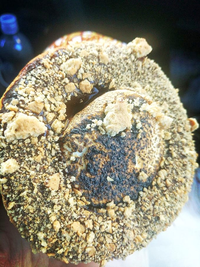 S'more, please! This donut looks like it went camping and came back as a gourmet dessert. Marshmallow dreams do come true.