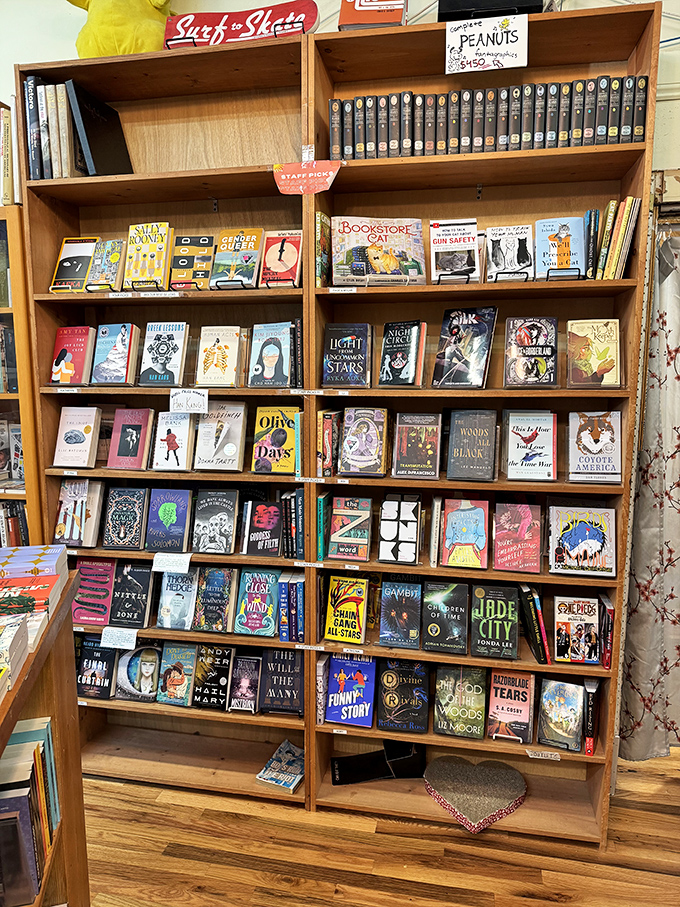 "Staff Picks" or "Staff Obsessions"? These curated selections might just be your next favorite read.