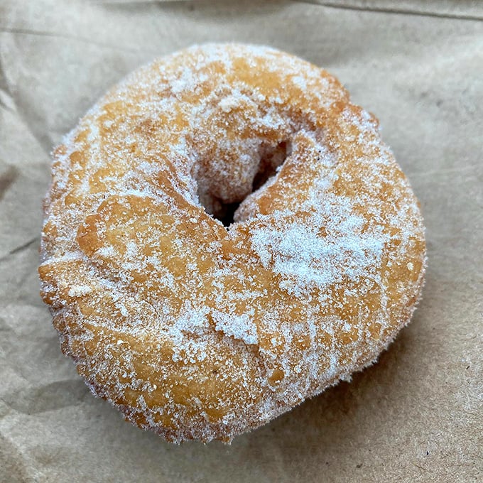 Sugar, ah honey honey! This donut's not just wearing its sweetness on its sleeve &ndash; it's wearing a whole darn snowstorm.