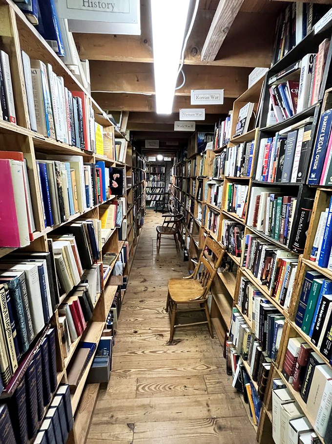 From the trenches of WWI to the jungles of Vietnam, this aisle is a time machine for history buffs and war movie aficionados alike.