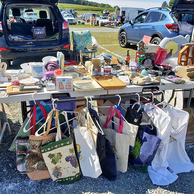 Bag lady's dream or eco-warrior's arsenal? These totes are ready to carry your flea market finds and save the planet, one shopping trip at a time.