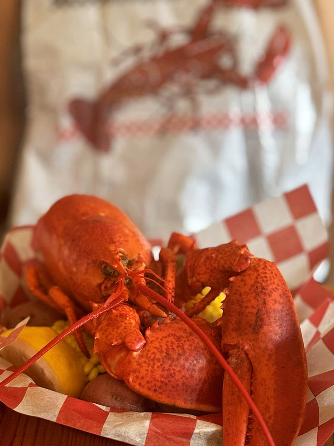 Hello, beautiful! This crimson crustacean is ready for its close-up &ndash; and your dinner plate.