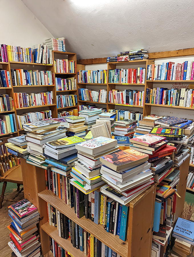 Organized chaos or chaotic organization? Either way, this book bonanza is a treasure hunter's paradise. Indiana Jones, eat your heart out!