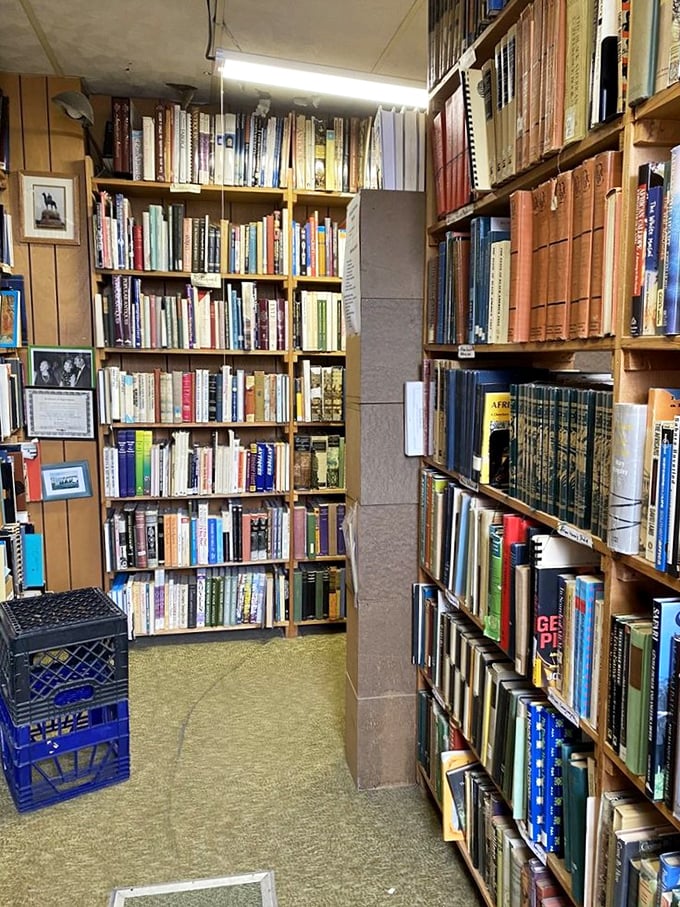 Forget Netflix and chill. It's all about 'books and nooks' here. This cozy corner is perfect for getting lost in a good story.