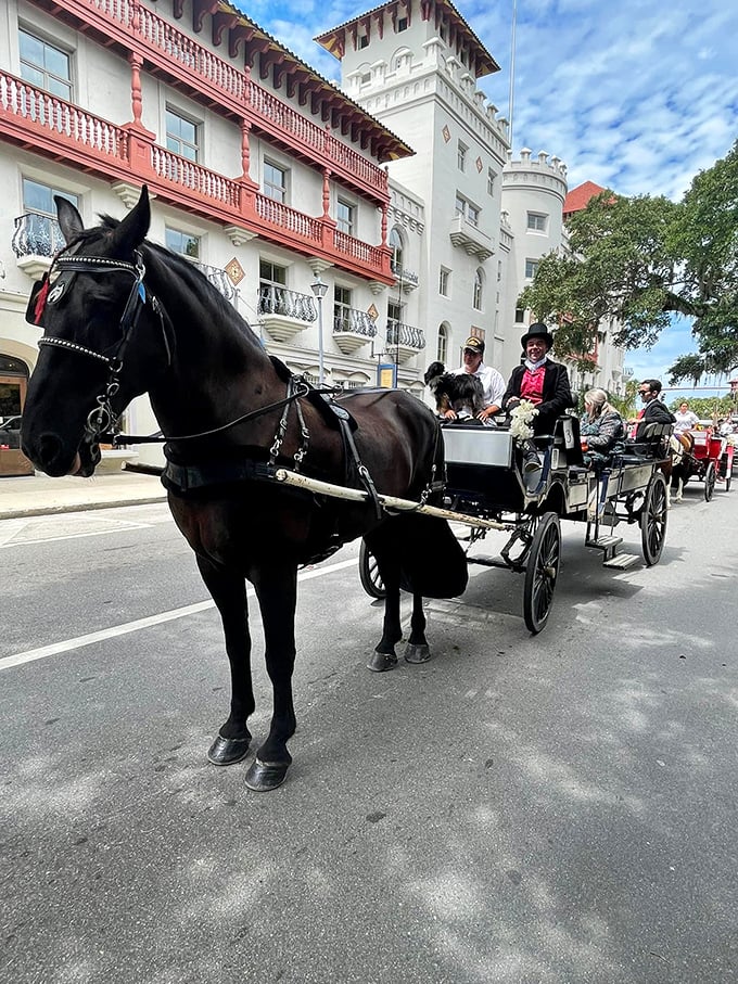 Tool time, anyone? This isn't Home Depot - it's a DIY enthusiast's dream from yesteryear.