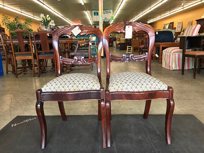 Take a seat and stay awhile! These chairs are ready to tell tales of dinner parties past and cozy nights to come.