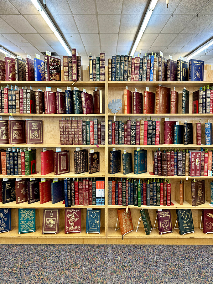 Who needs Netflix when you've got this? A cornucopia of books beckons, offering escapes more thrilling than any binge-worthy series.