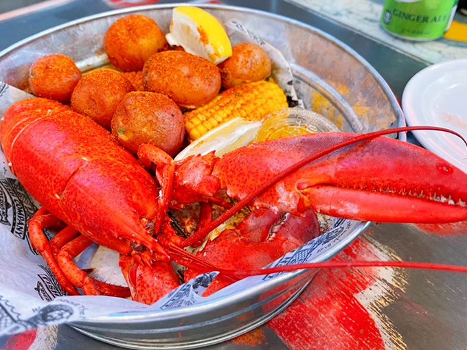 Behold the king of crustaceans! This lobster's so fresh, it might just start tap dancing across your plate.