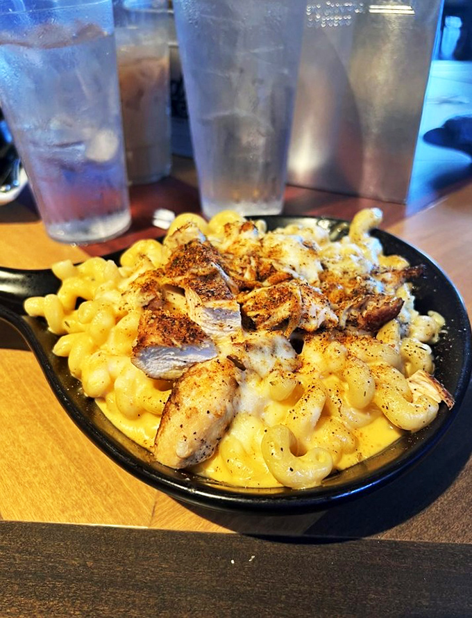 Behold, the mac and cheese that launched a thousand food comas. Those perfectly seasoned shrimp aren't just toppings&mdash;they're co-pilots on this cheesy journey.