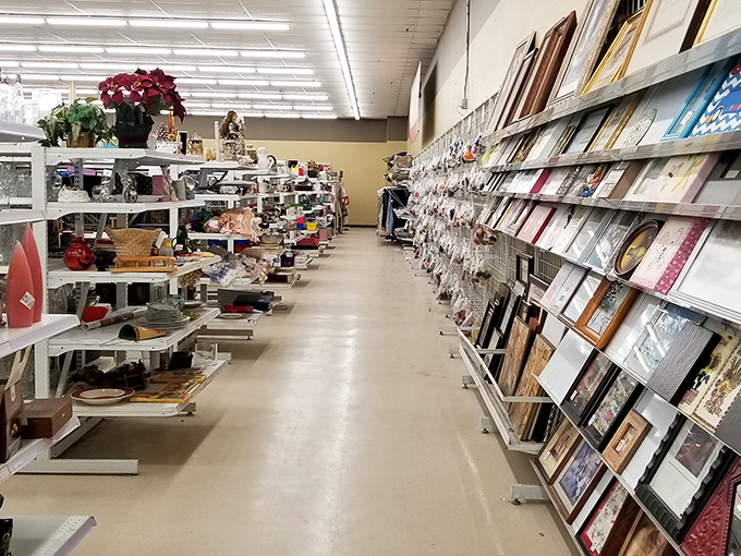 Picture this: a wall of frames just waiting to showcase your memories (or hide that unsightly thermostat). It's like an art gallery, minus the snooty attitudes and overpriced wine.