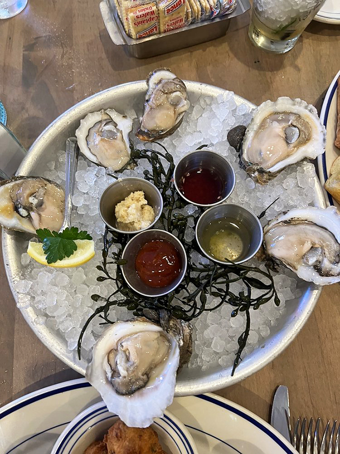 These oysters are so fresh, they might just pearl under pressure. A briny bouquet of the sea, served on ice.