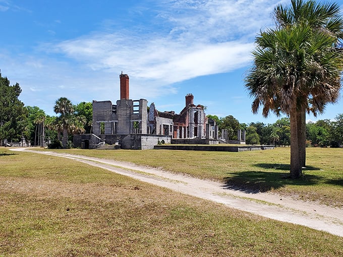 Nature reclaims what man once built. These haunting ruins on Cumberland Island whisper tales of a bygone era, inviting imagination to fill in the blanks.