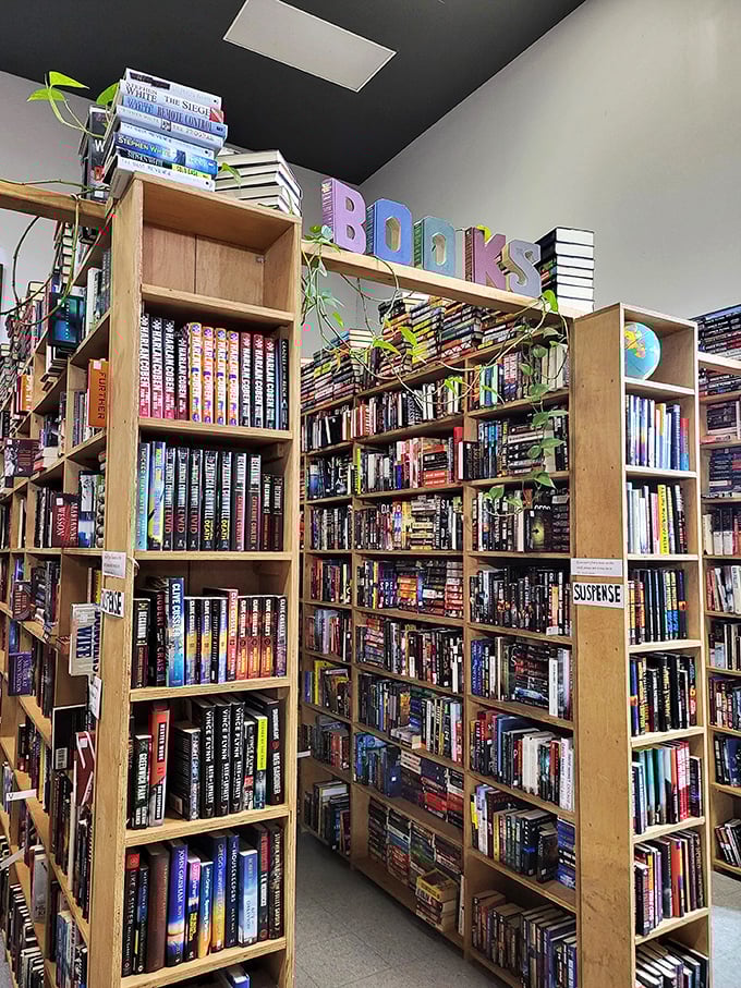Behold, the Great Wall of Literature! These shelves are stacked higher than my to-be-read pile after a late-night online shopping spree.