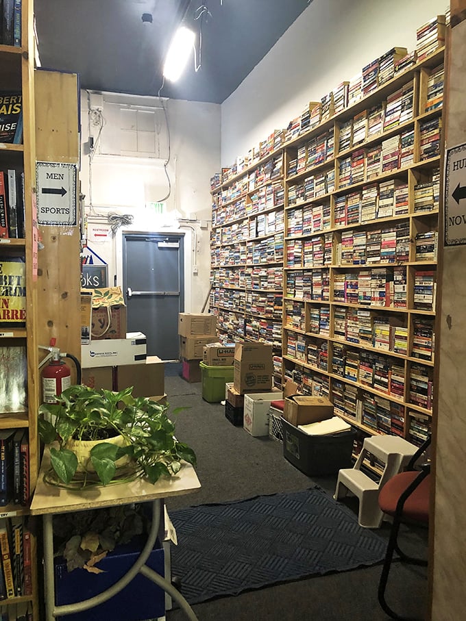 Books, boxes, and more books. It's like a game of Tetris, but every piece is a potential adventure.