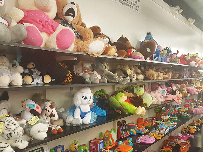 Cuddly companions and childhood memories line these shelves. It's like walking into a warm hug from your favorite teddy bear.