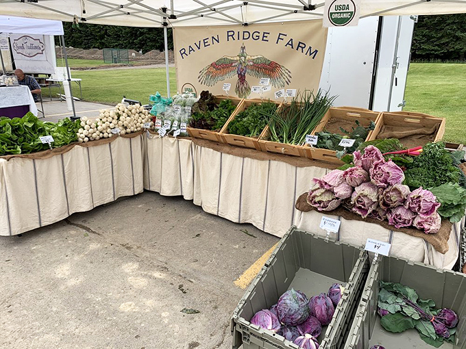 Nature's candy store is open for business! These veggies are so fresh, they might just start a conversation with you.