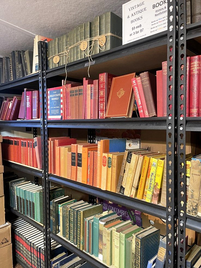 Vintage books: where stories age like fine wine. These leather-bound beauties are the literary equivalent of your grandpa's best anecdotes.