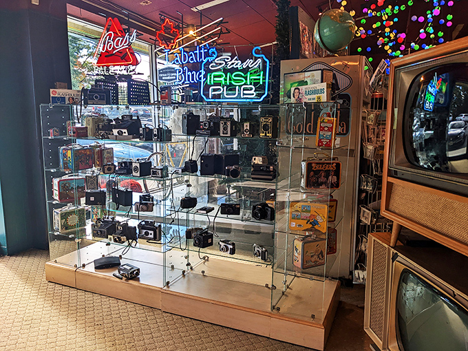 Calling all shutterbugs! This display of vintage cameras will have you saying "cheese" faster than you can wind a film roll.