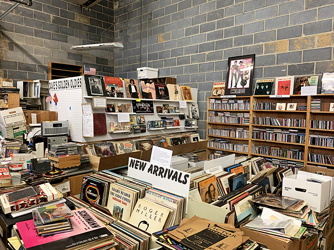 Vinyl enthusiasts, your treasure awaits! Dive into a sea of albums where every record tells a tale. Time to dust off that turntable!