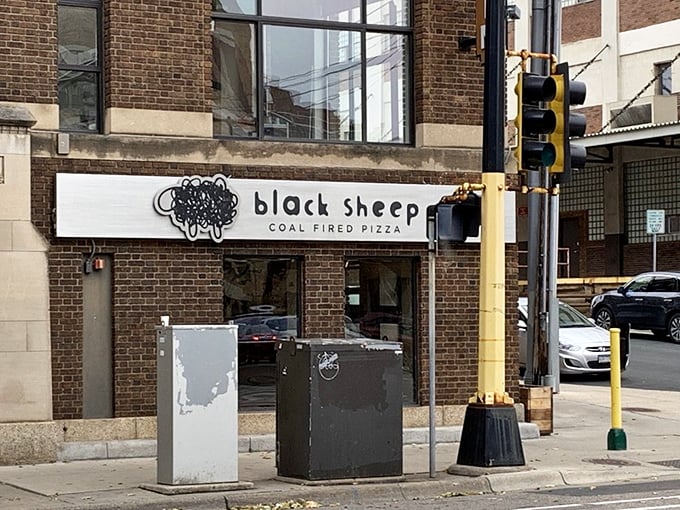 Black Sheep Coal Fired Pizza: Where hipsters and pizza traditionalists unite. The crust is darker than my coffee, and twice as addictive!