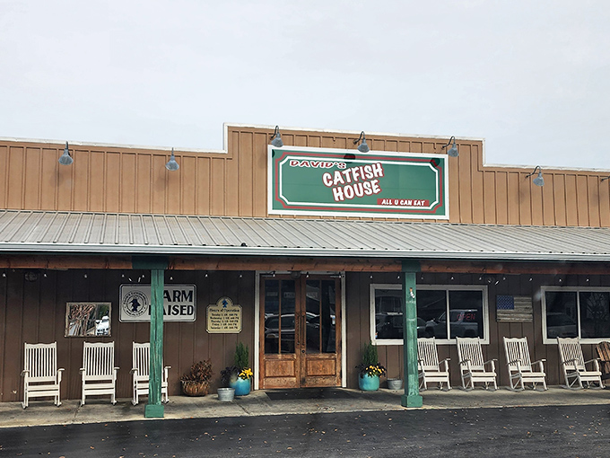 David's Catfish House: Where Southern hospitality meets seafood simplicity. It's like your grandma's porch, if grandma was a catfish-frying wizard.