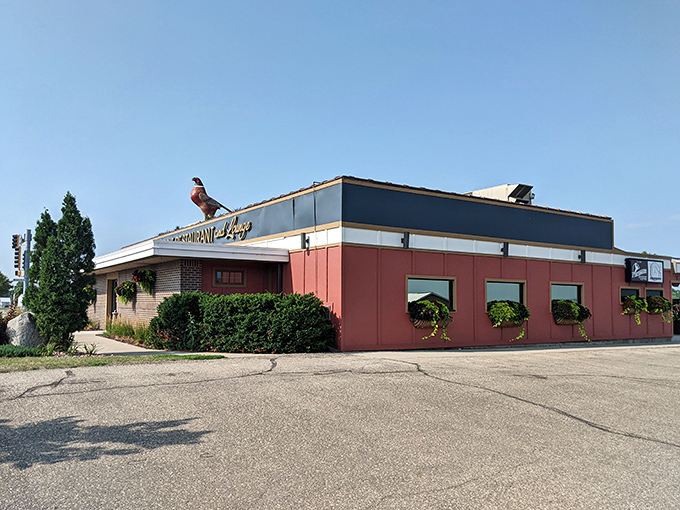 No fowl play here! Pheasant Restaurant's sleek exterior promises a night of culinary adventure in small-town South Dakota.