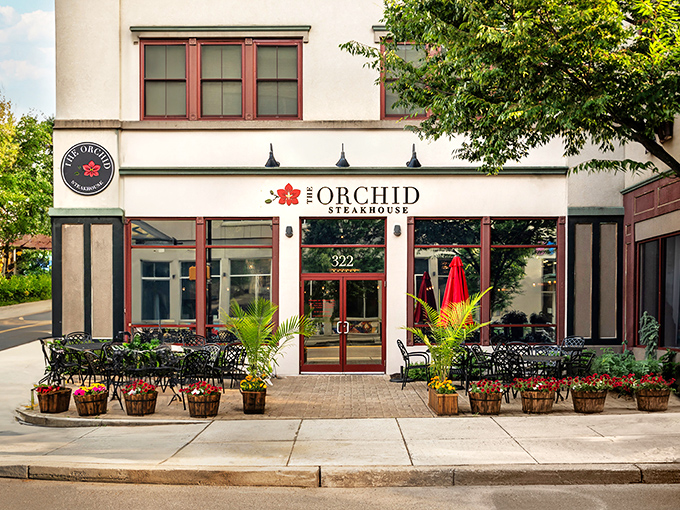 The Orchid Steakhouse: Bethlehem's floral fantasy for meat lovers. Where steaks bloom with flavor and every meal feels like a special occasion.