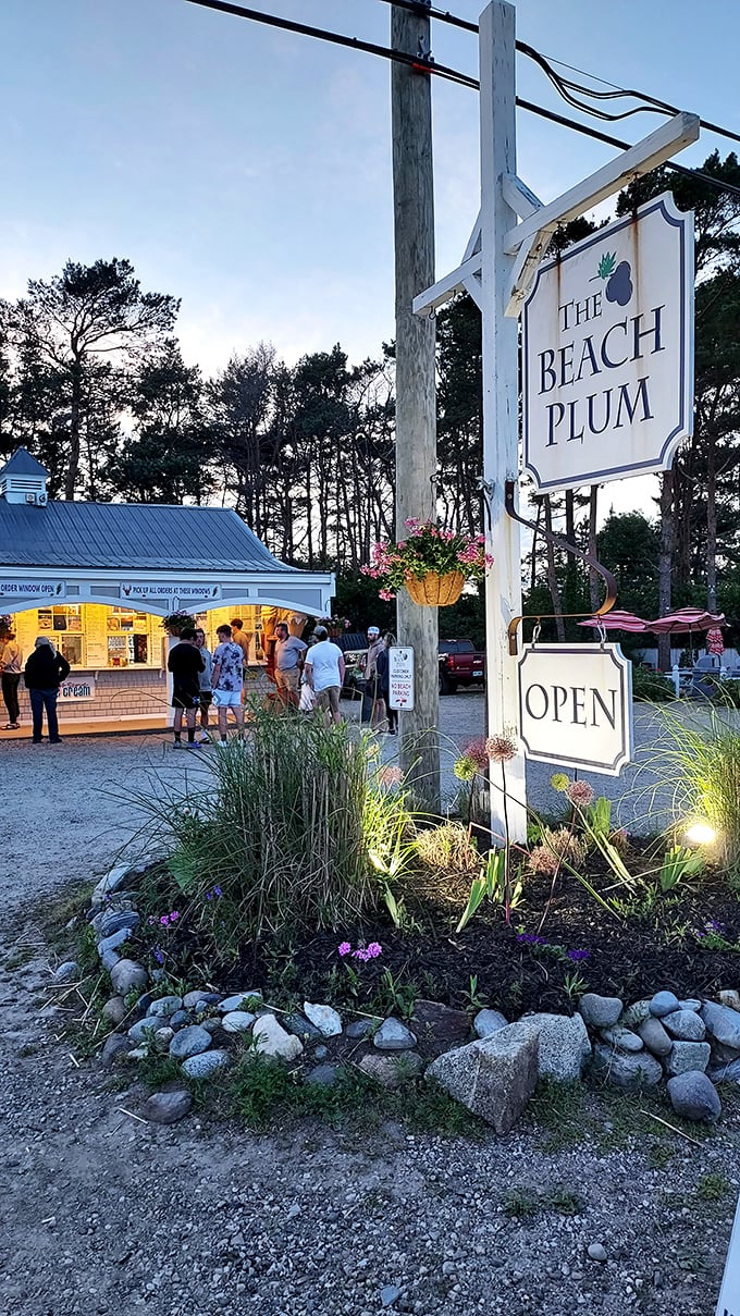 Night or day, The Beach Plum's always ready to play! This seafood hotspot is lit up brighter than Times Square on New Year's Eve.