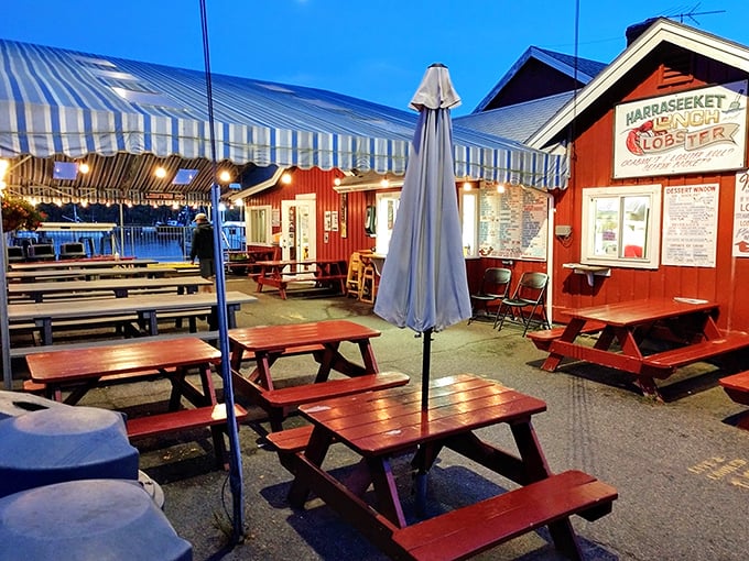 "As the sun sets, Harraseeket transforms into a twinkling wonderland. It's like dining under the stars, with better lighting and fresher lobster."