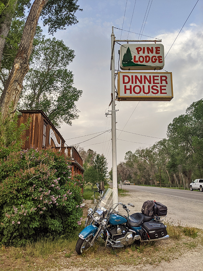 Rustic charm meets gourmet flair at Pine Lodge. It's like a five-star restaurant decided to play lumberjack for the day.