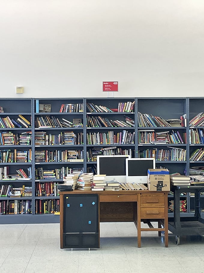 Bookworms, rejoice! This literary labyrinth is where paperbacks go to retire and hardcovers find new purpose as impromptu step stools.