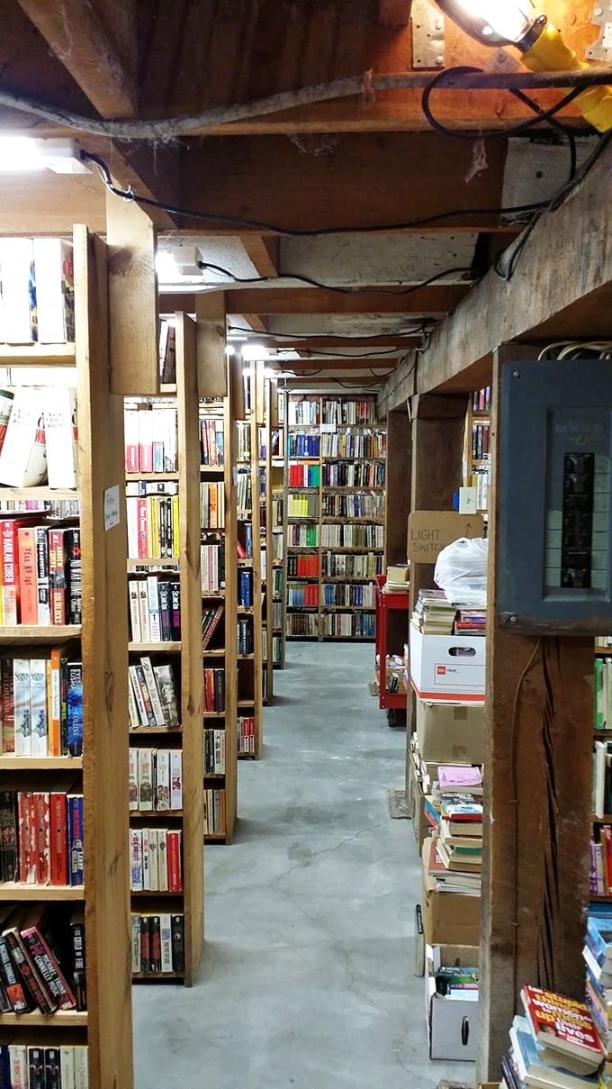 Down this rabbit hole of fiction, you might emerge with a degree in literature or a severe case of page-turner's thumb.