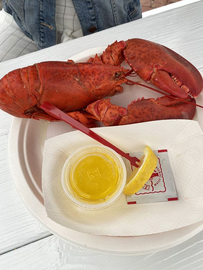 Ladies and gentlemen, meet the star of the show! This lobster's ready for its close-up... and your plate.