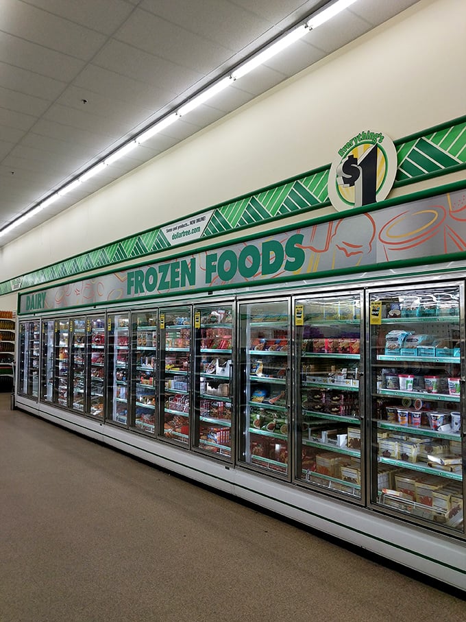 Frozen food fit for a frugal feast! From pizza to popsicles, this frosty frontier proves that good eats don't have to break the bank.