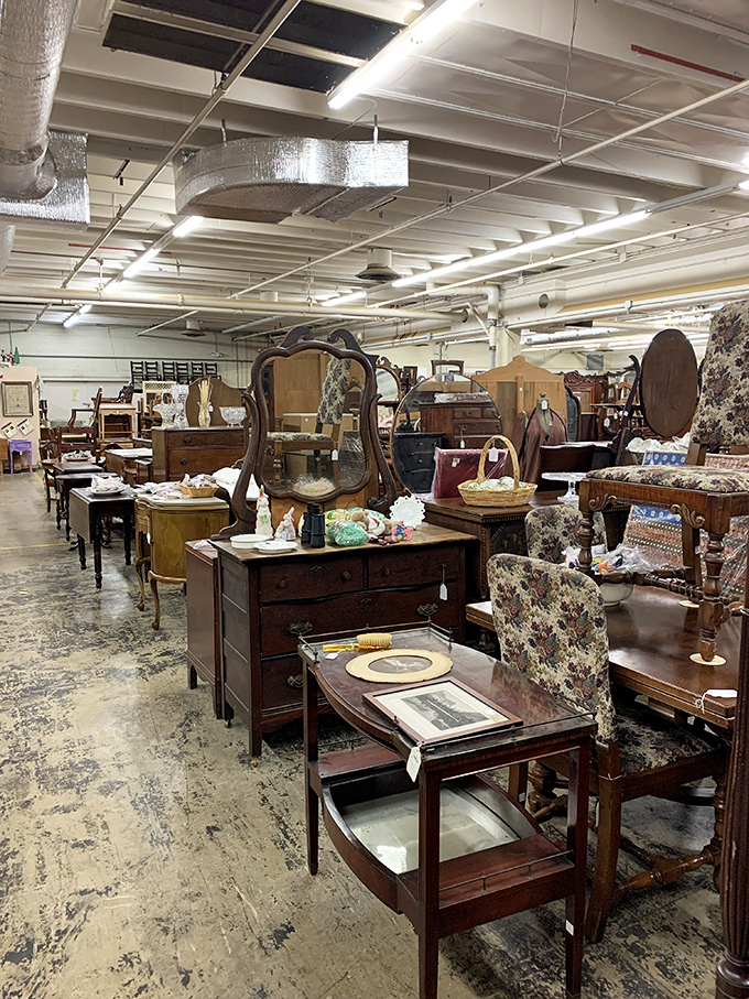 Furniture that tells tales. Each piece here has more stories than a librarian at happy hour.