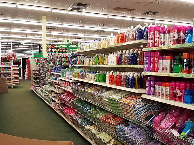 The beauty aisle proves looking good doesn't require emptying your bank account. Self-care at prices that won't require therapy afterward.