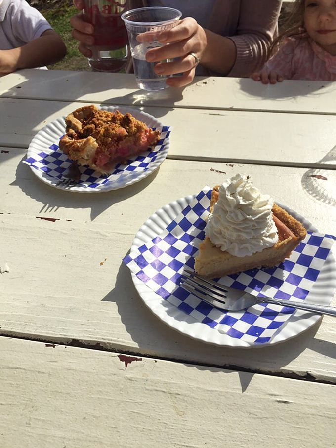 Sweet harmony on a plate! The honey and rhubarb pies are like a culinary duet, singing a song of summer that'll make your taste buds dance.